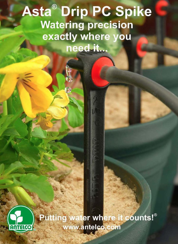 Watering spike does it right…* | LG Focus